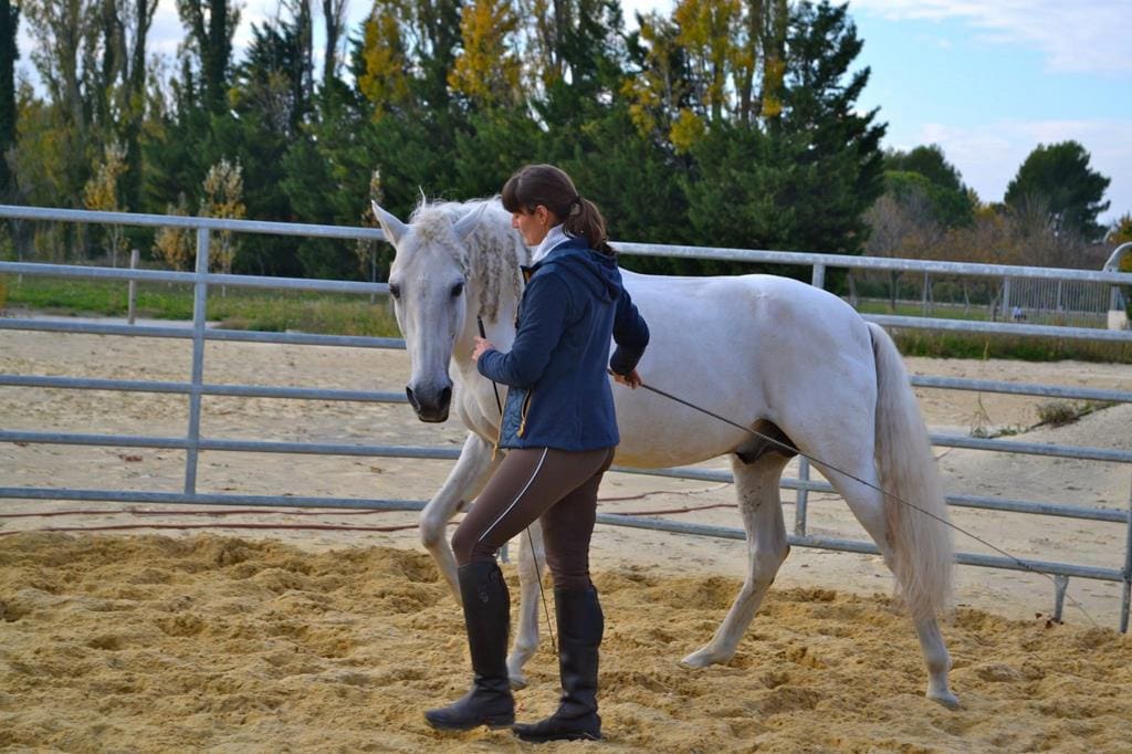 Magali Delgado & Frédéric Pignon : l'enseignement essentiel