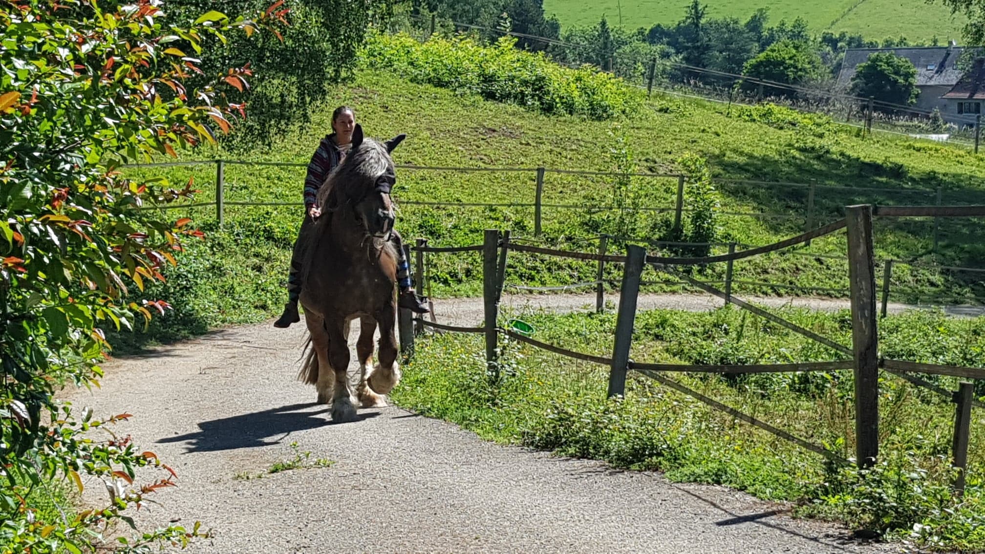 Deux ennemis qui me veulent du bien...
